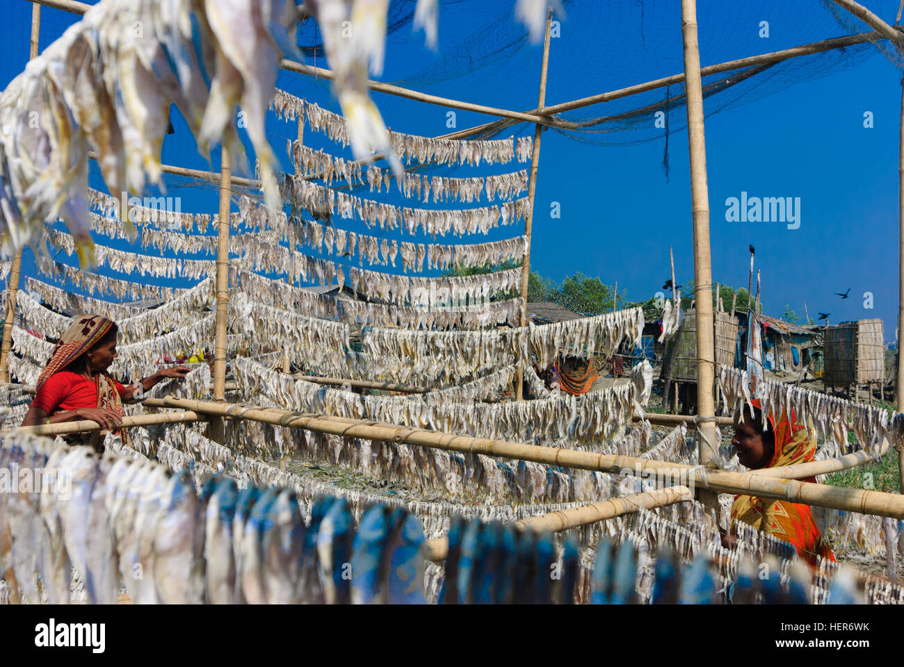 Fish drying rack hi-res stock photography and images - Alamy