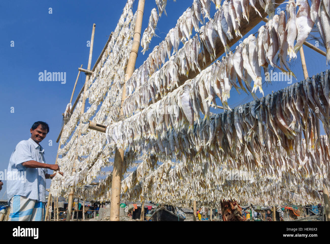 Chittagong: Fish drying rack racks in the harbor, fisherman, fishes ...