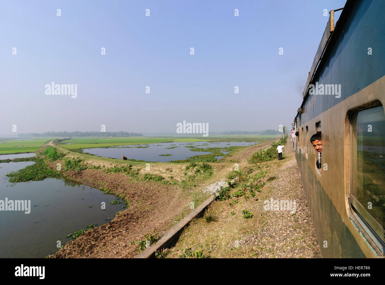 : Intercity train passes through rice fields, Chittagong Division ...