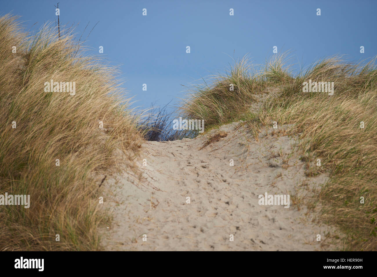 Sandweg High Resolution Stock Photography and Images - Alamy