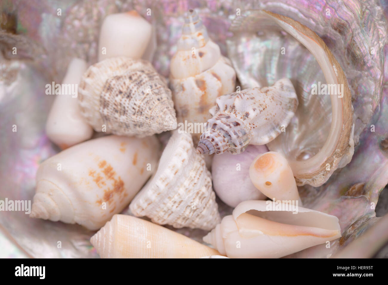 Nacre texture hi-res stock photography and images - Alamy