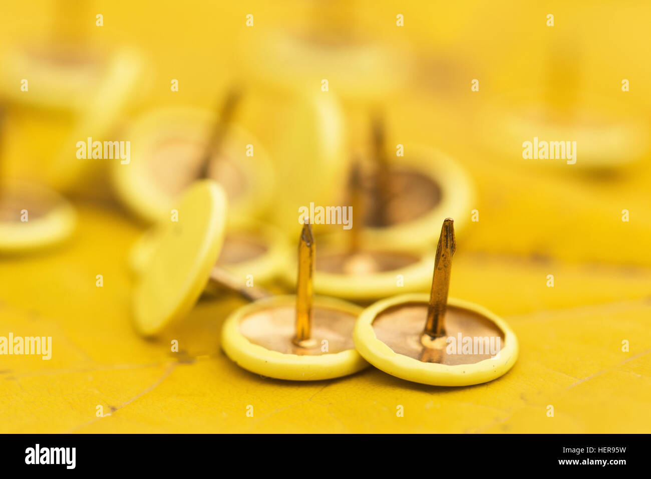 Flat headed pin hi-res stock photography and images - Alamy