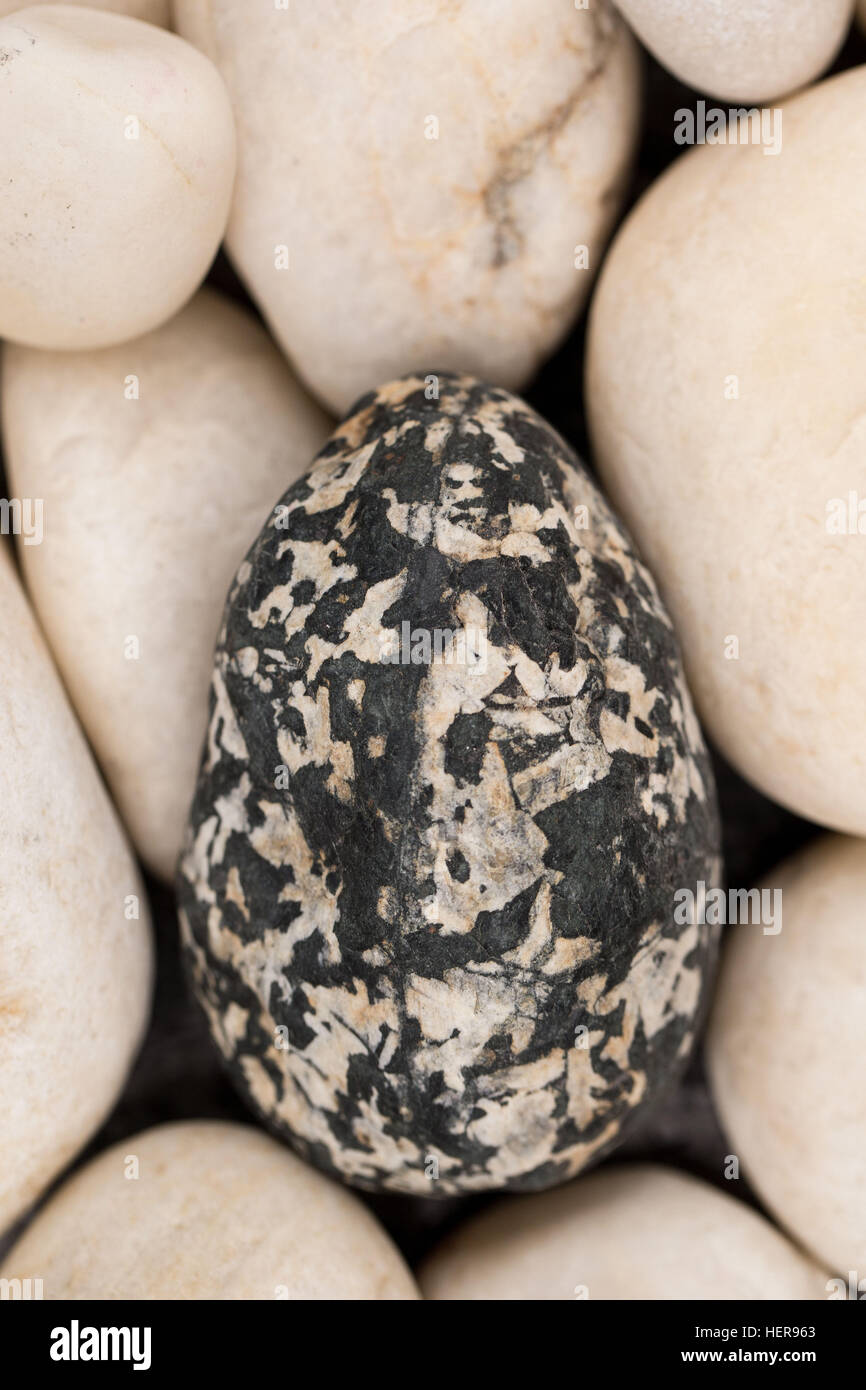 Stone mottled black and white hi-res stock photography and images - Alamy