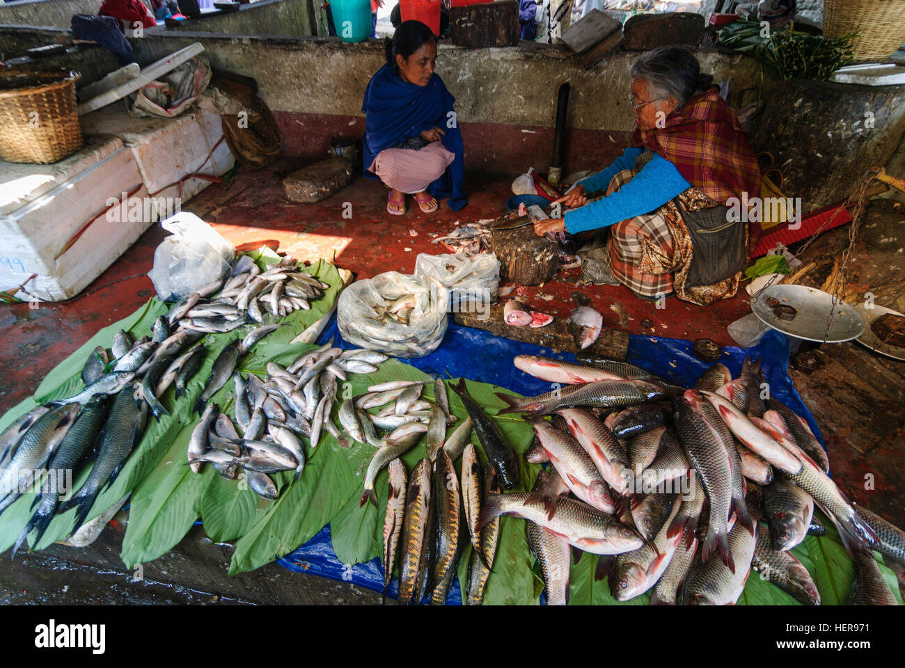 Market fish hi-res stock photography and images - Alamy