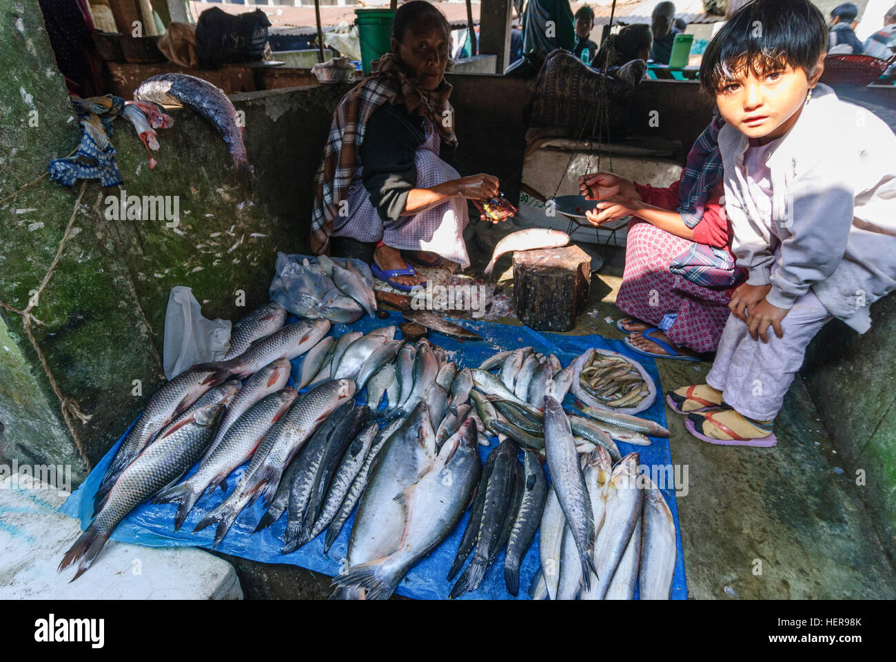 Market fish hi-res stock photography and images - Alamy