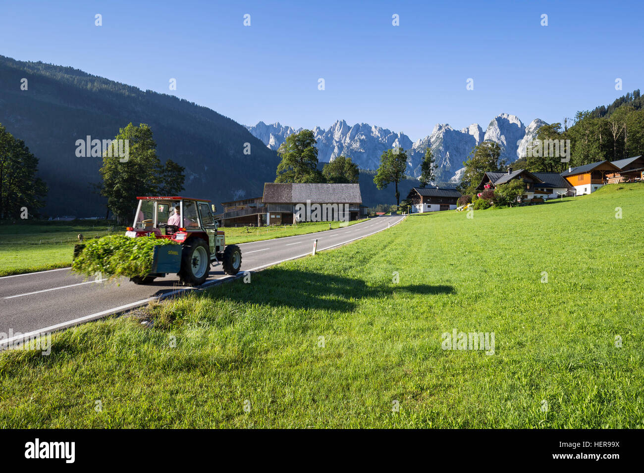 Gosau Hintertal, Gosaukamm, Salzkammergut, Oberösterreich, Österreich ...