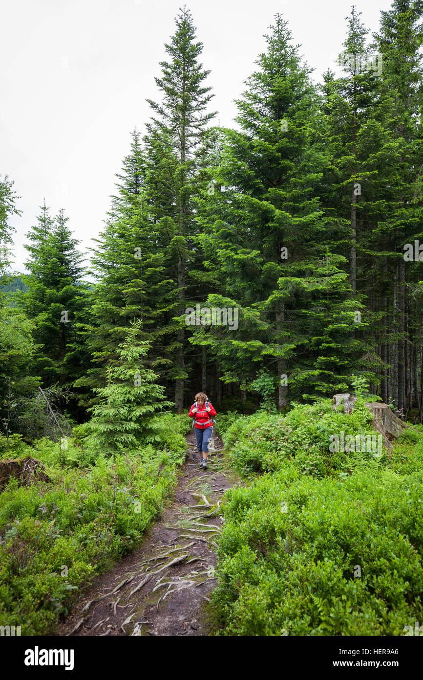 Traveller between Natrun and Jufen, village in the valley, Maria alp ...
