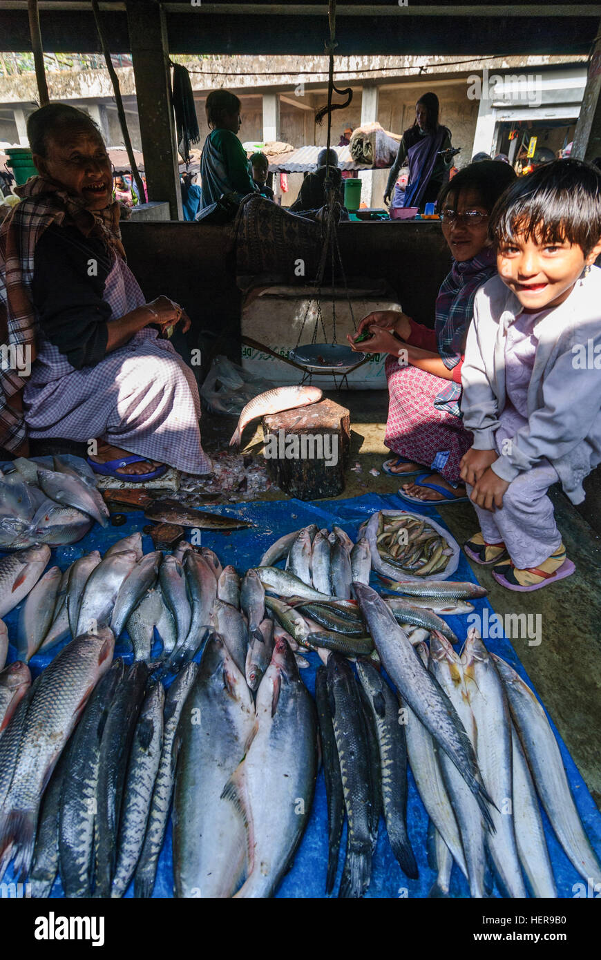 India fish market hi-res stock photography and images - Alamy