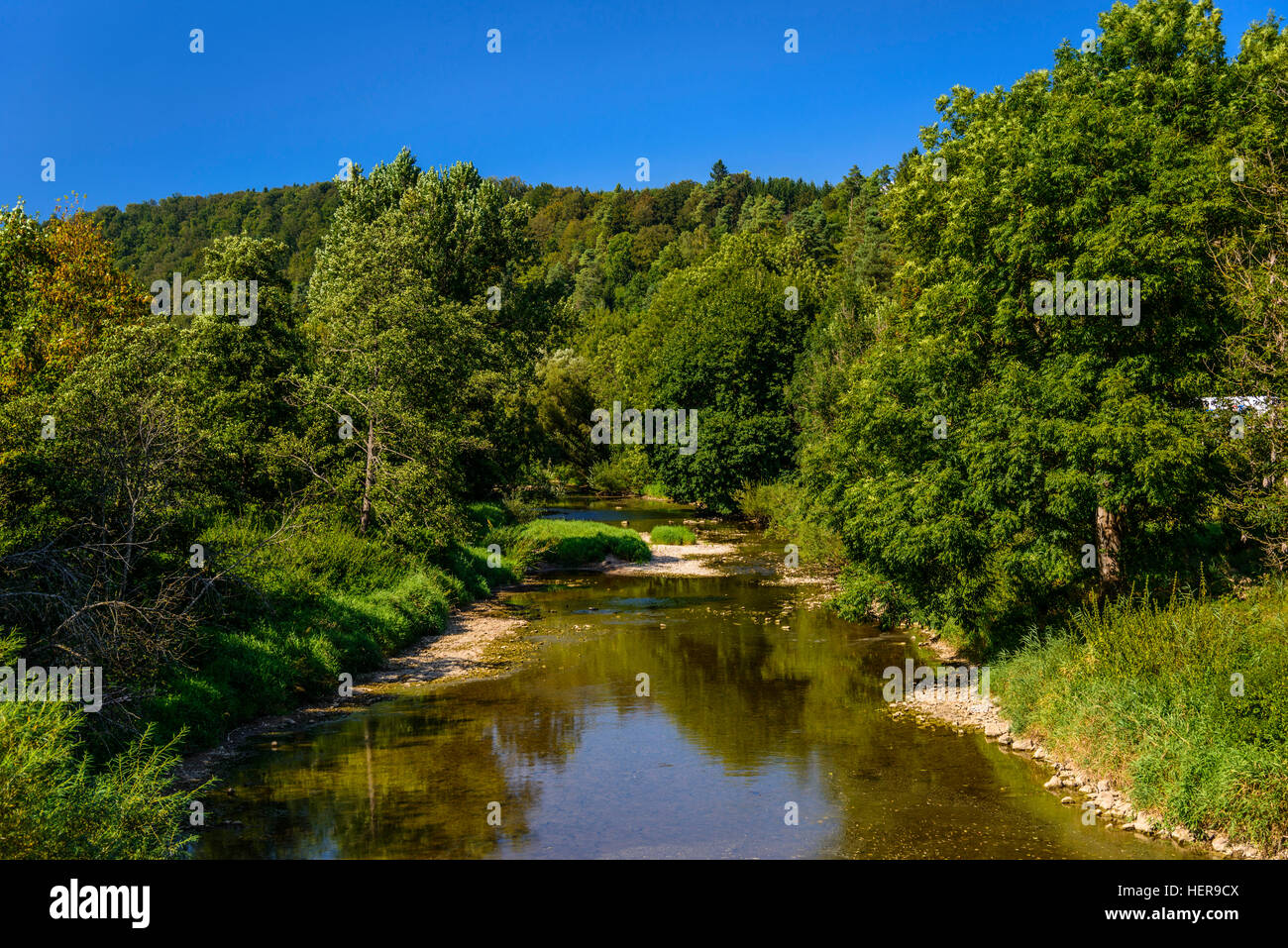 Deutschland, Baden-Württemberg, Oberes Donautal, Immendingen, junge ...