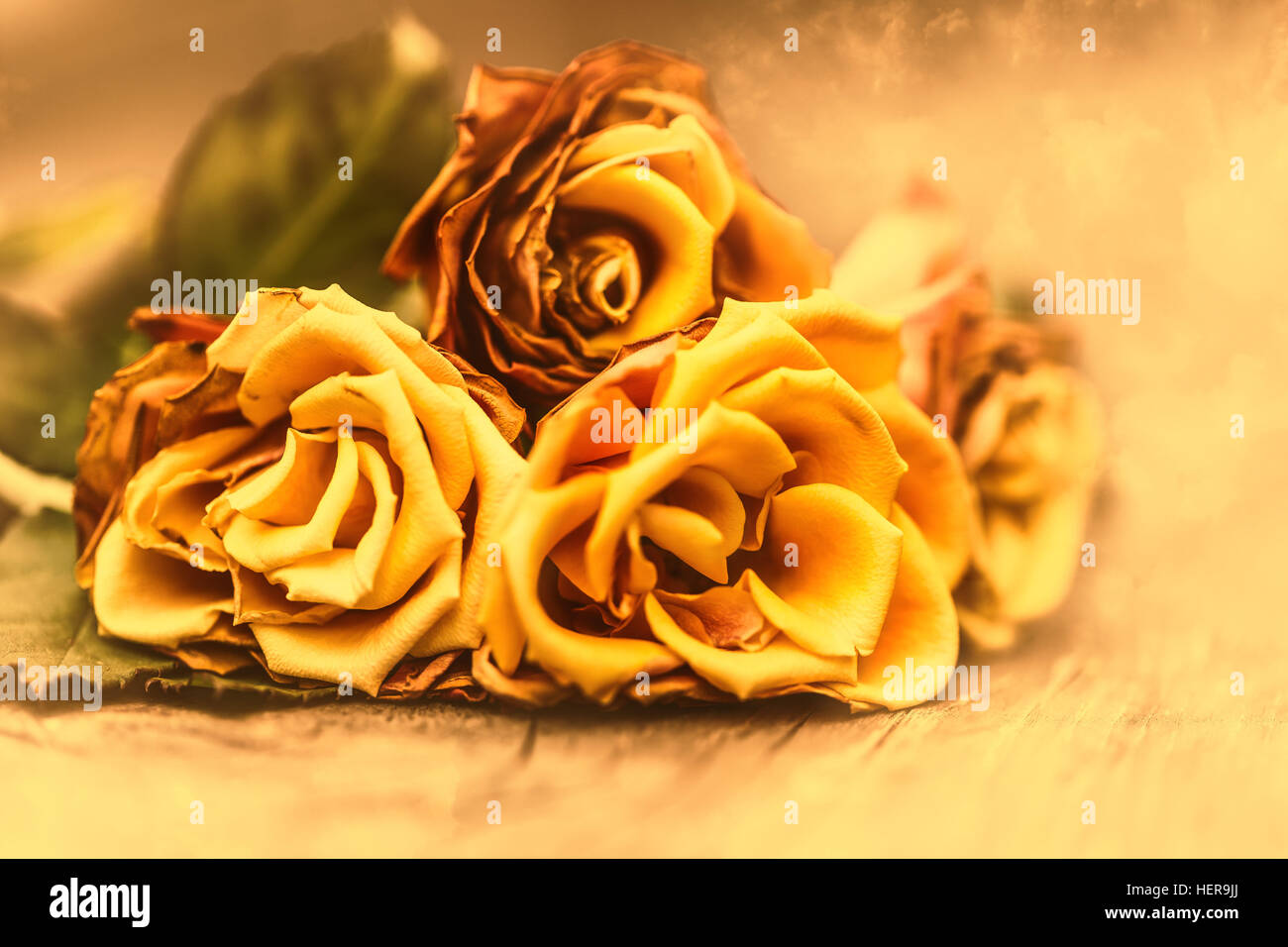 Dead Flowers Bunch High Resolution Stock Photography and Images - Alamy