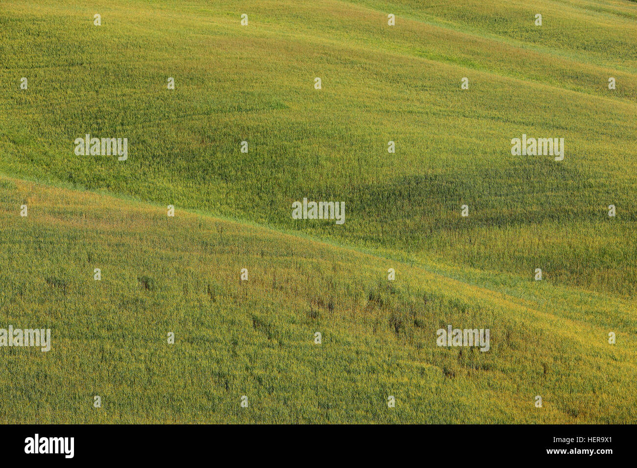 Wellige landschaft hi-res stock photography and images - Alamy