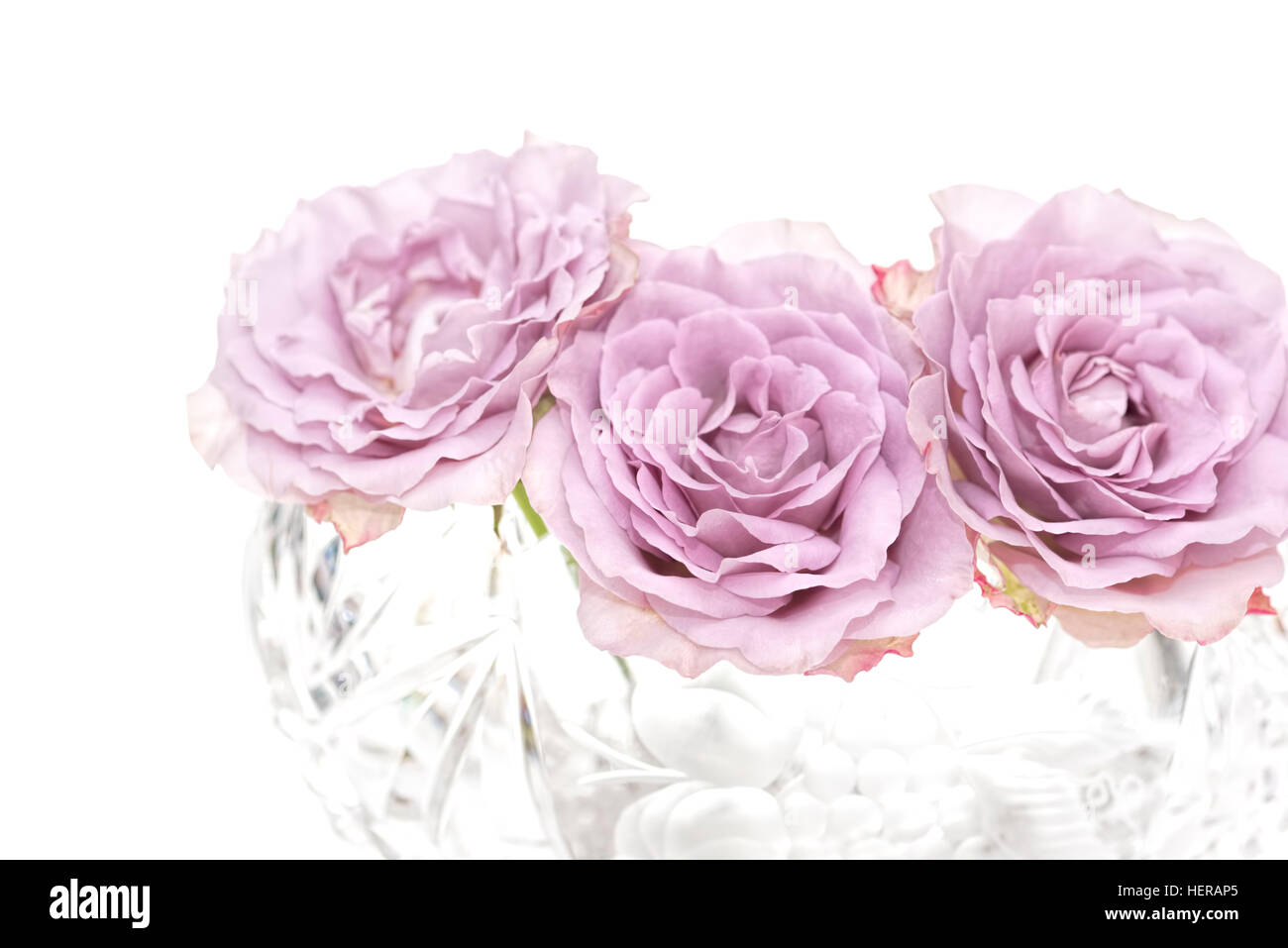 Simple horizontally hi-res stock photography and images - Alamy