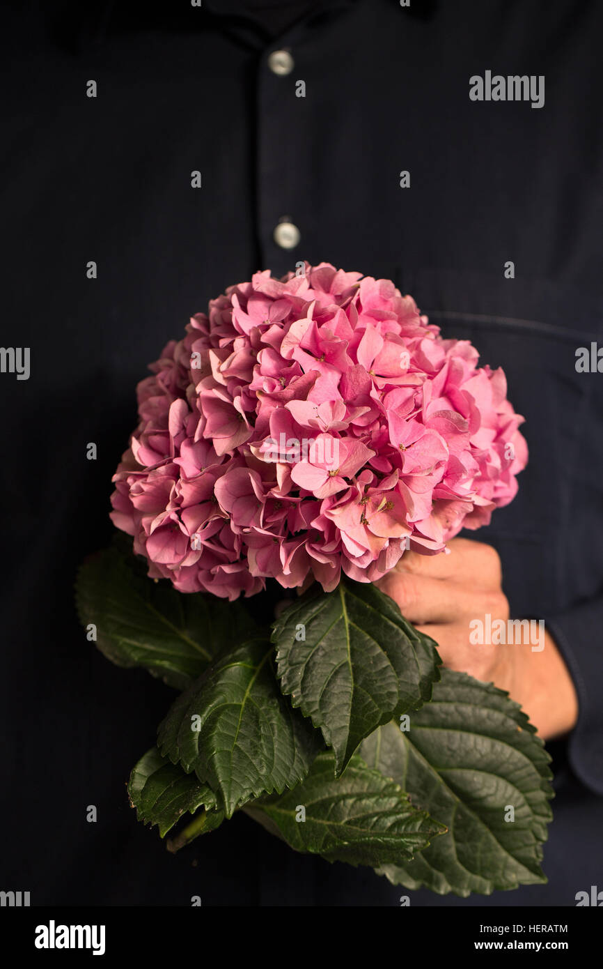 Thank you and goodbye hi-res stock photography and images - Alamy