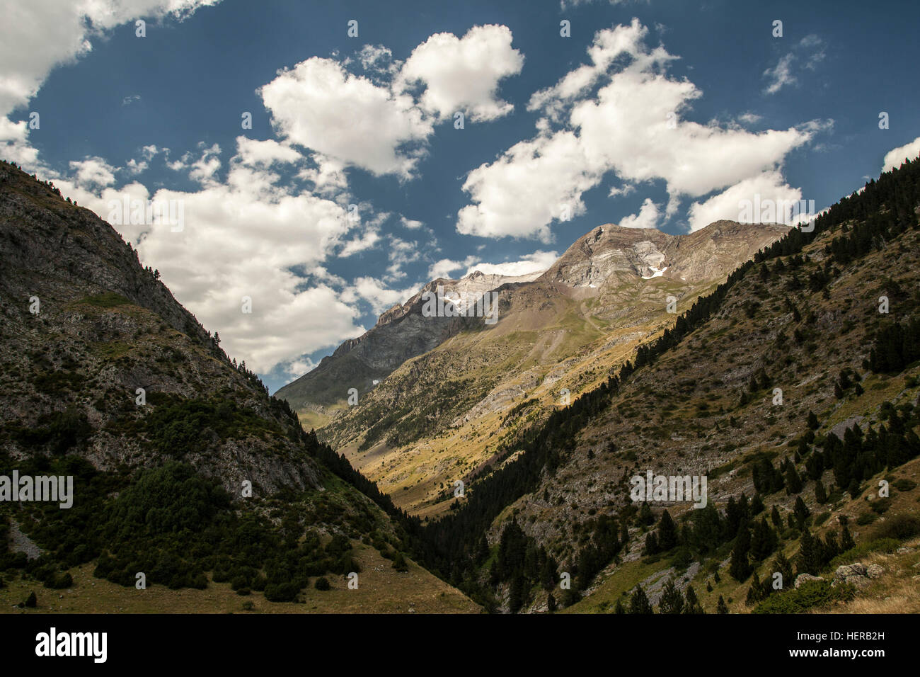 Gr11 hi-res stock photography and images - Alamy