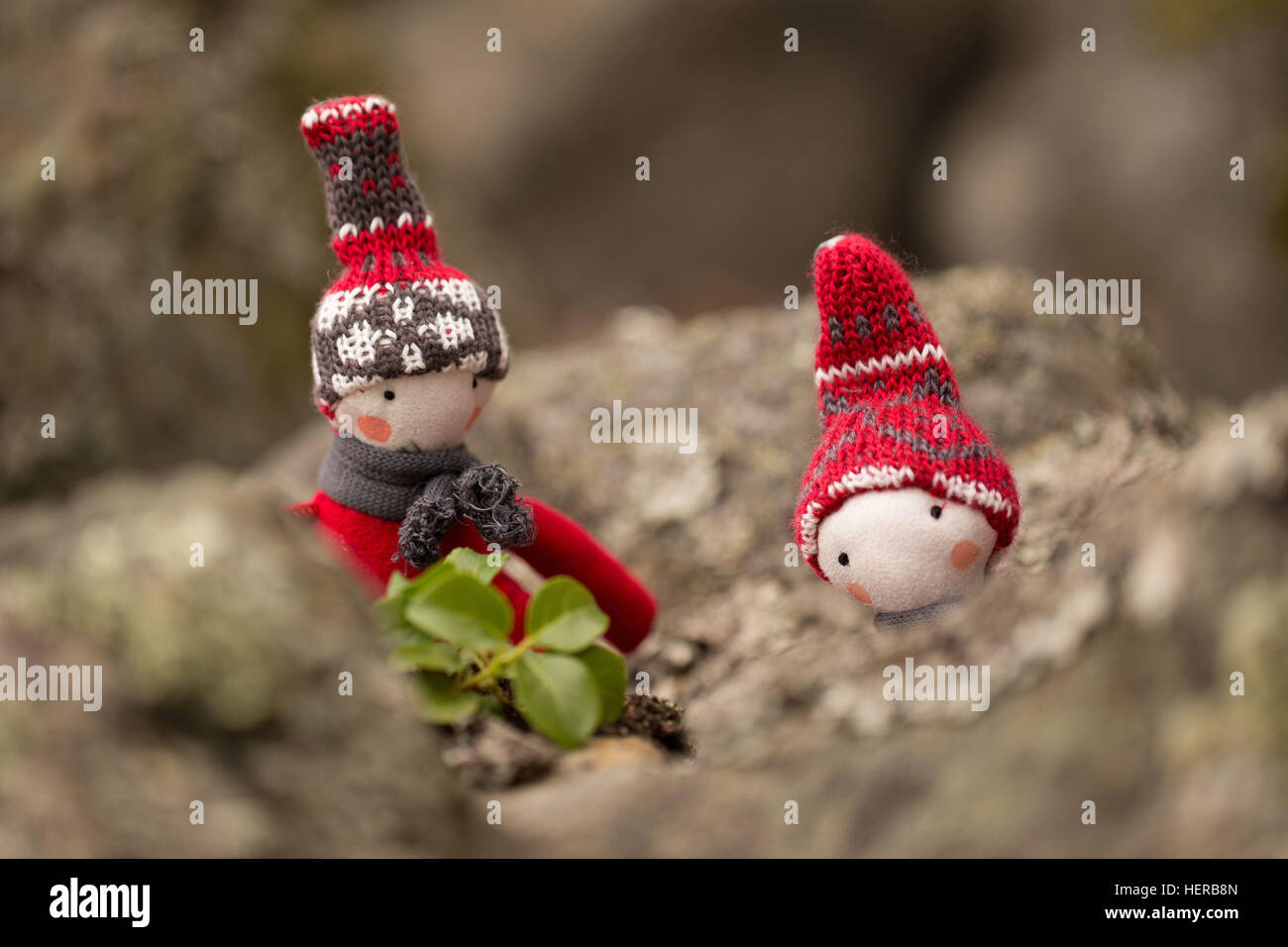 2 elf,before christmas,cap,christmas,face,Finnish elf figure,forest ...