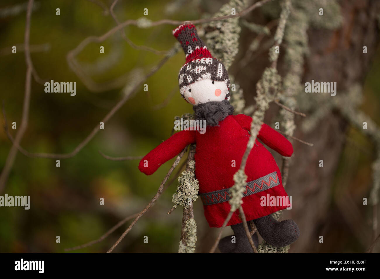 Elf outfit hi-res stock photography and images - Alamy