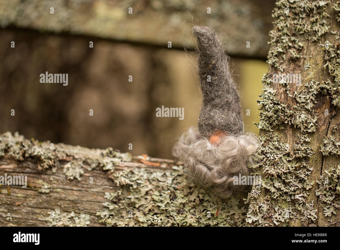 background,beard,brown,childhood,christmas elf,cute,december,decoration ...