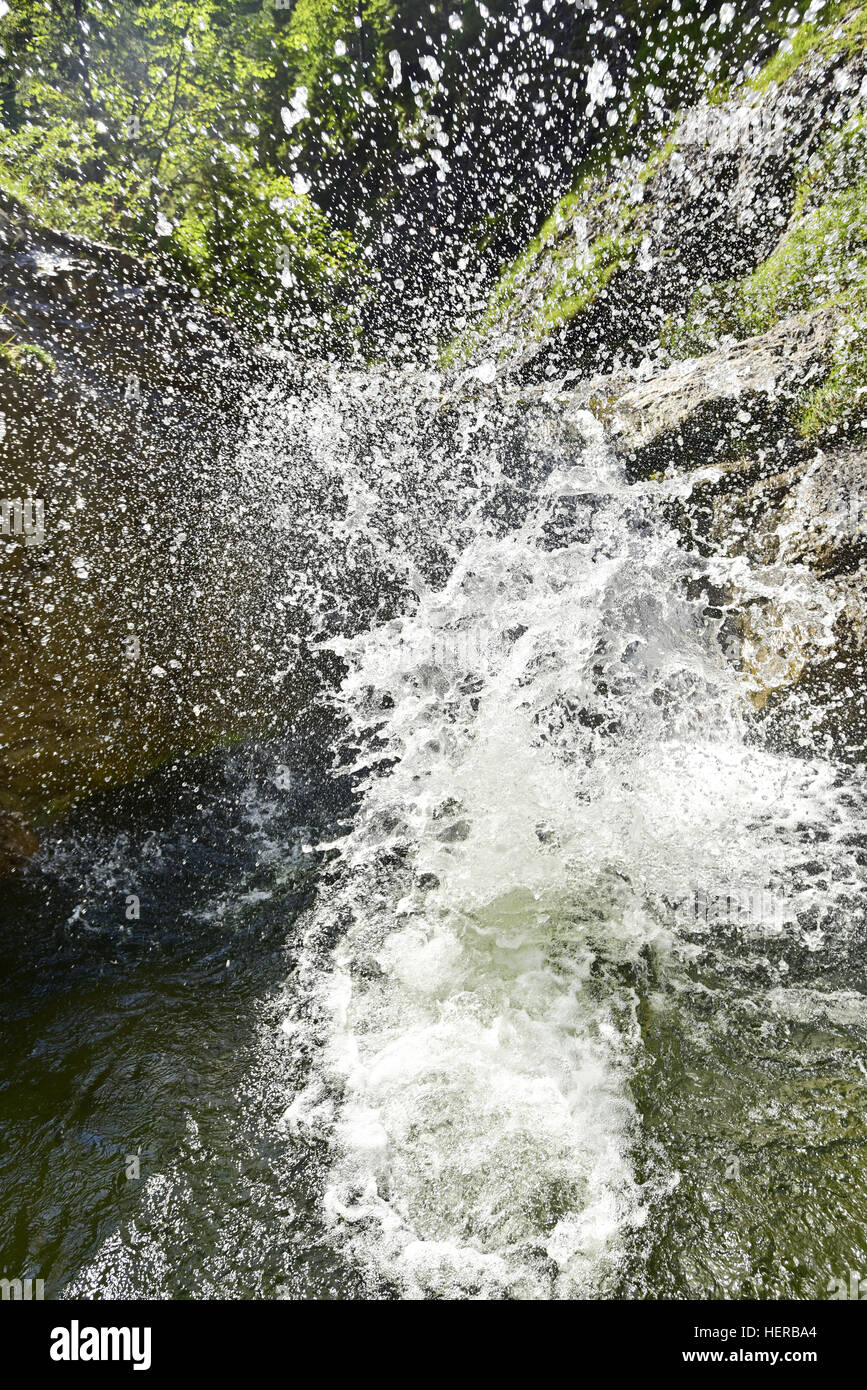 Badespaß in Gumpen Stock Photo - Alamy