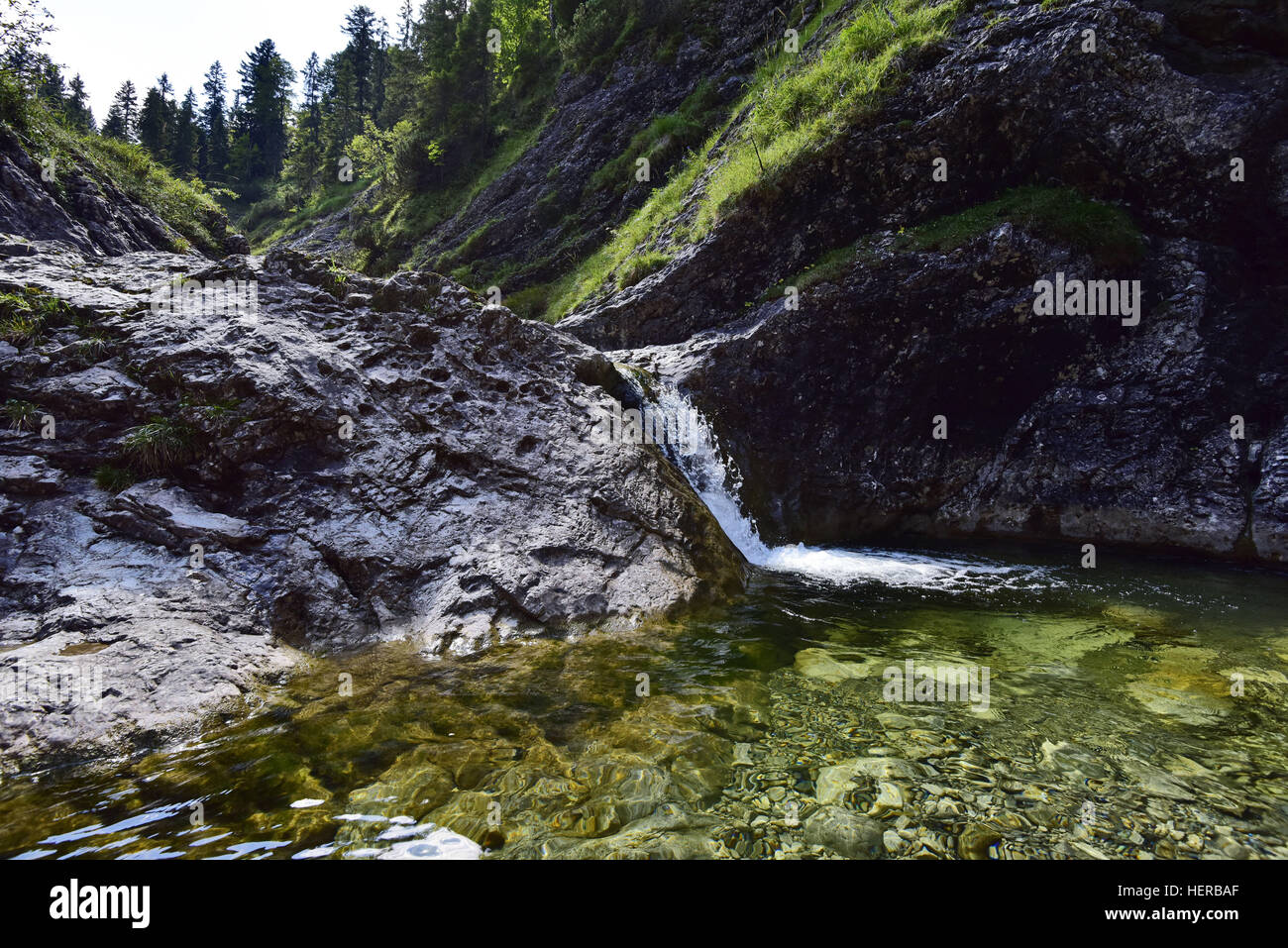 Sommer springen felsen hi-res stock photography and images - Alamy