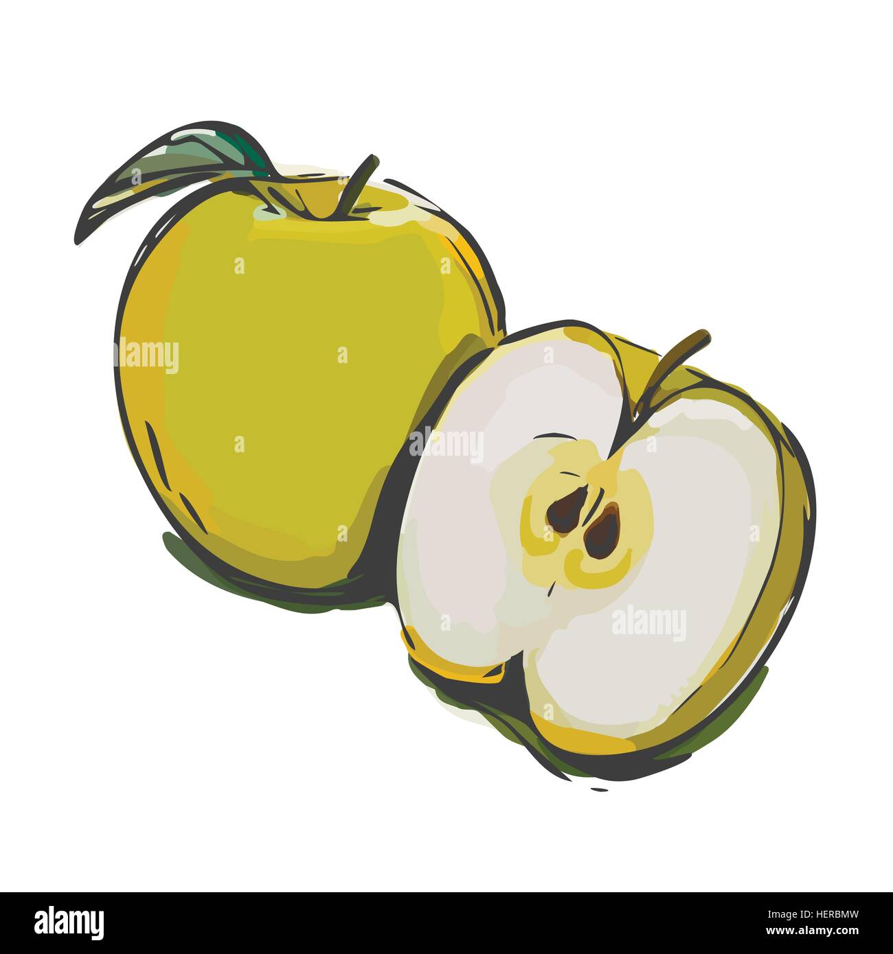 Apple Green Leaf Stock Vector Images Alamy
