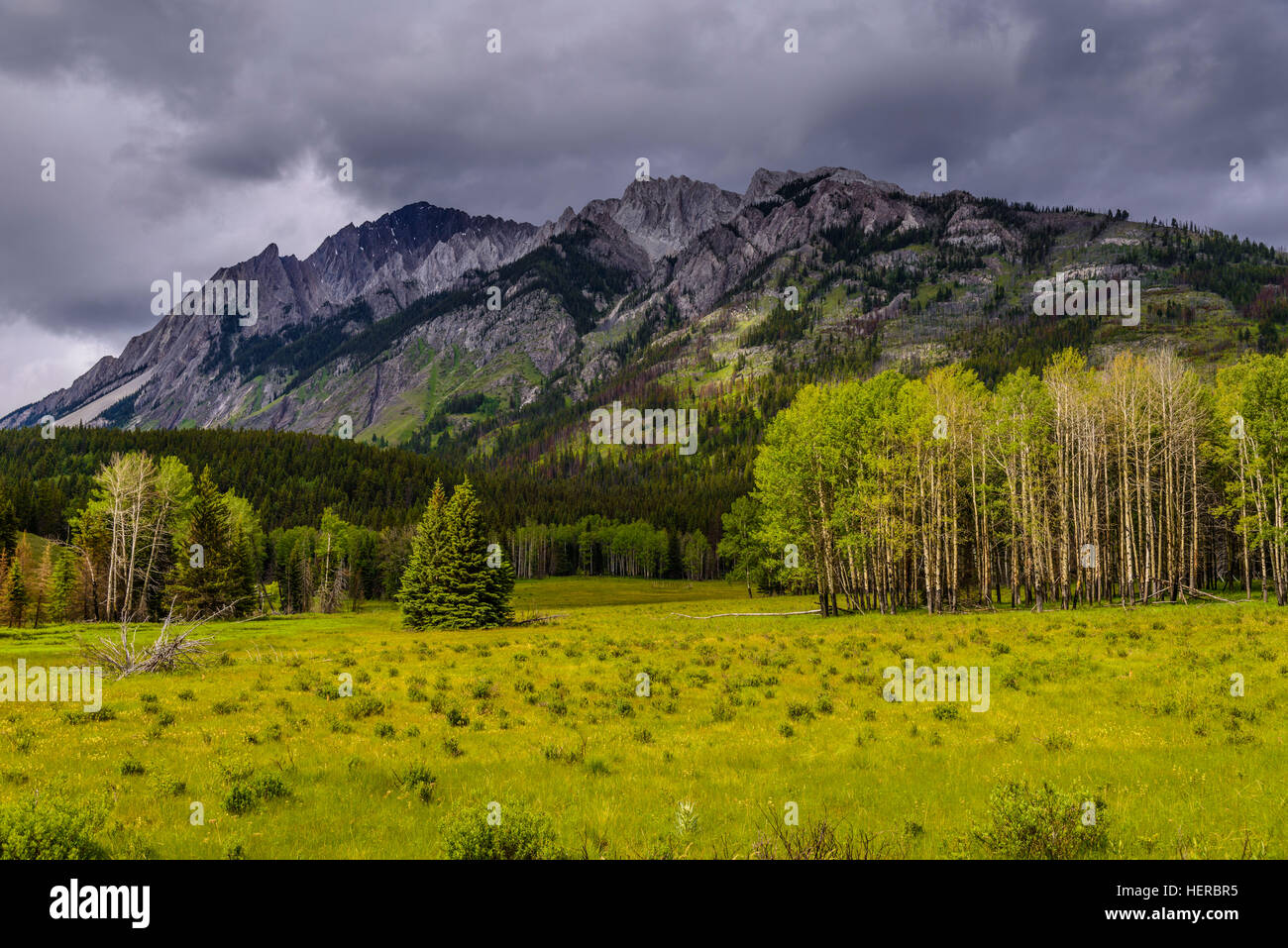 Canada, Alberta, Banff National Park, Banff, Bow Valley Parkway ...