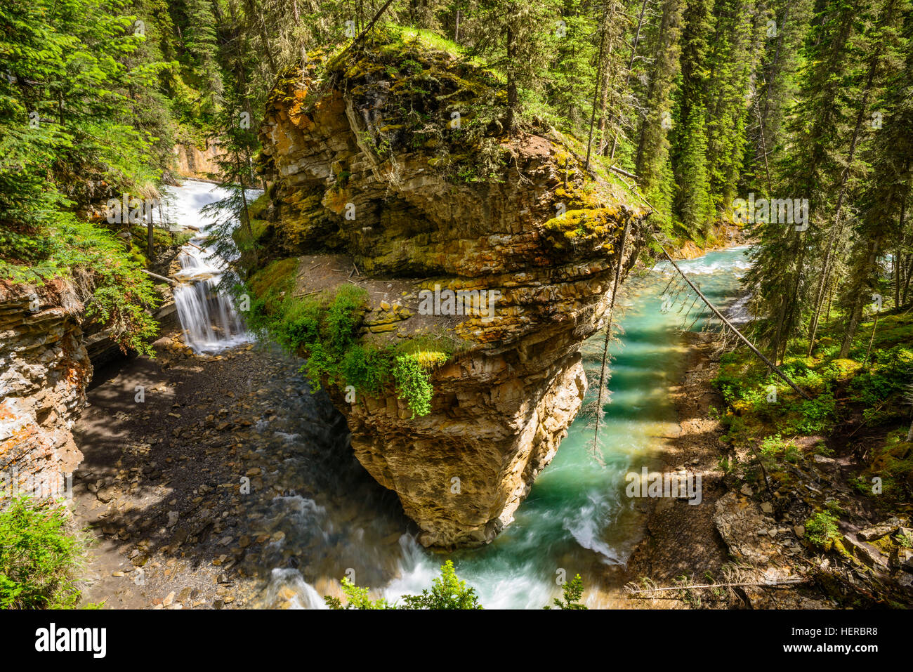 Canada, Alberta, Banff National Park, Banff, Bow Valley Parkway ...
