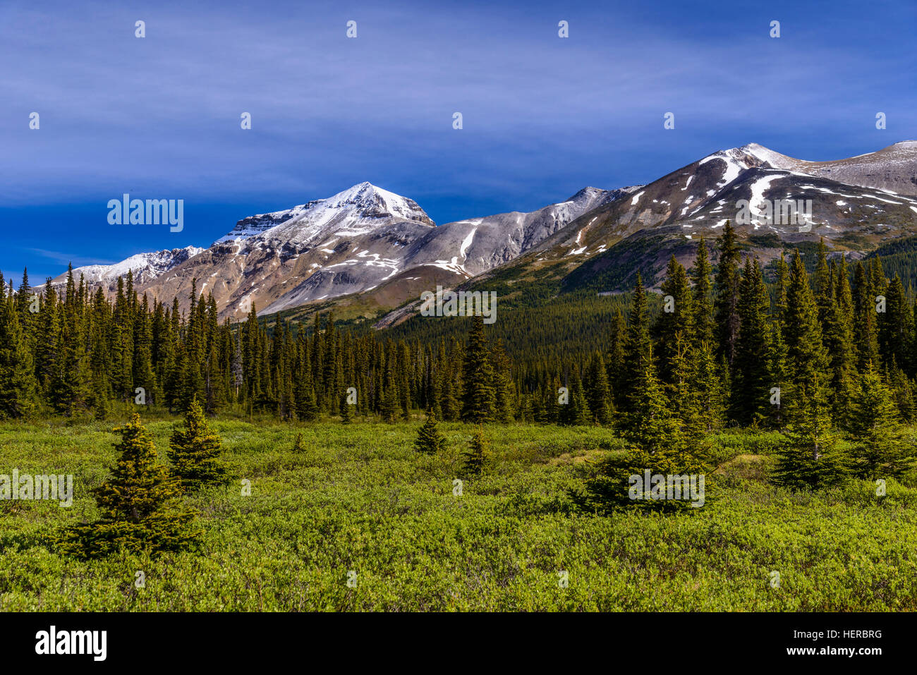 Kanada, Alberta, Banff National Park, Lake Louise, Icefields Parkway ...