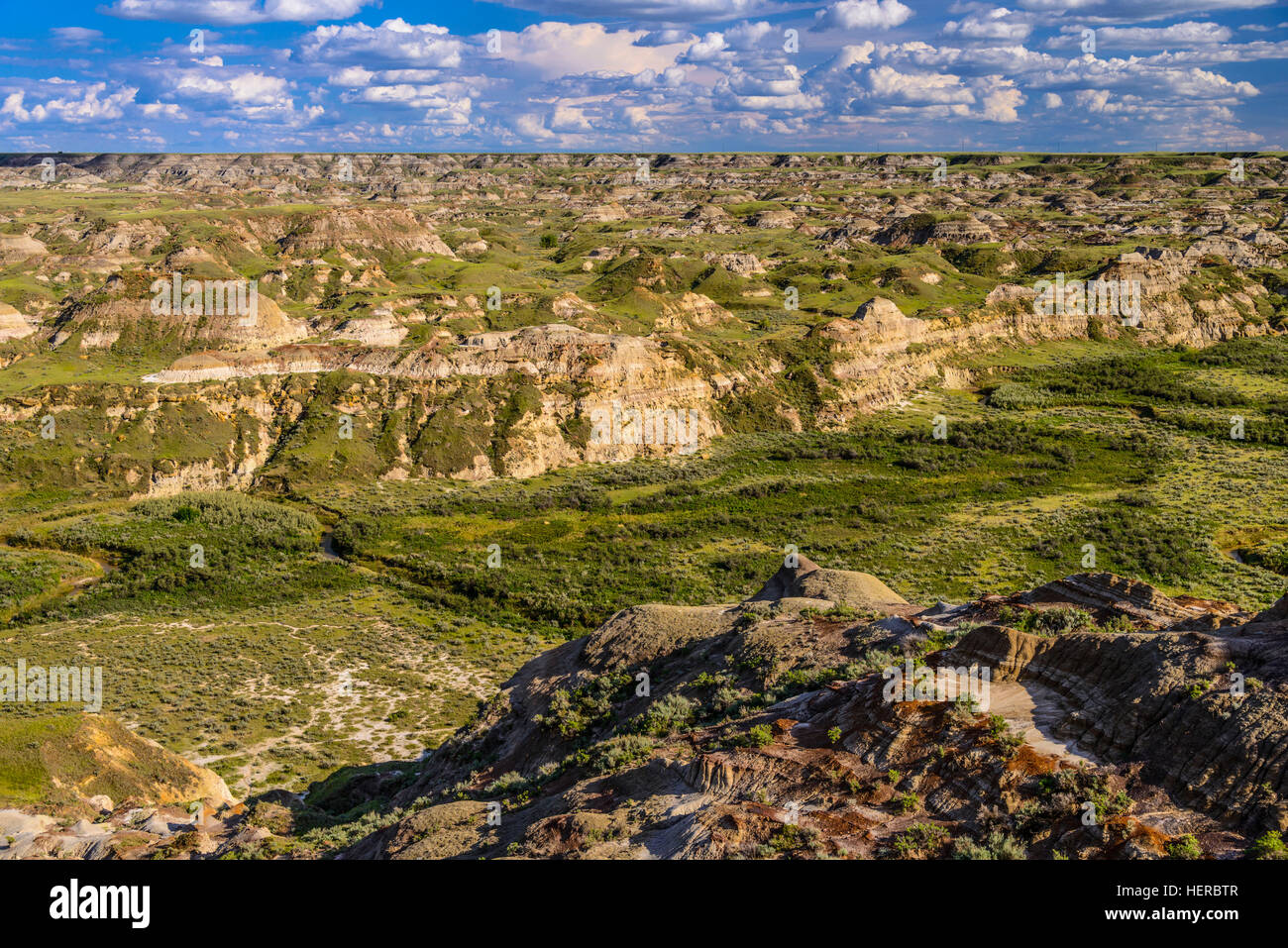 Canada, Alberta, Canadian Badlands, Red Deer River Valley, Dinosaur ...