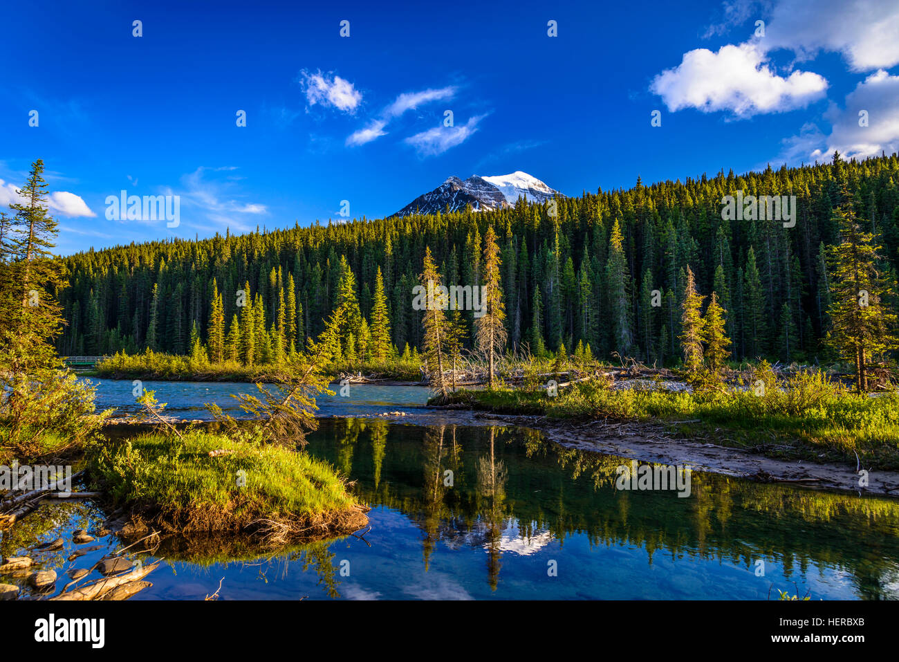 Canada, Alberta, Banff National Park, Lake Louise, Bow River Valley ...