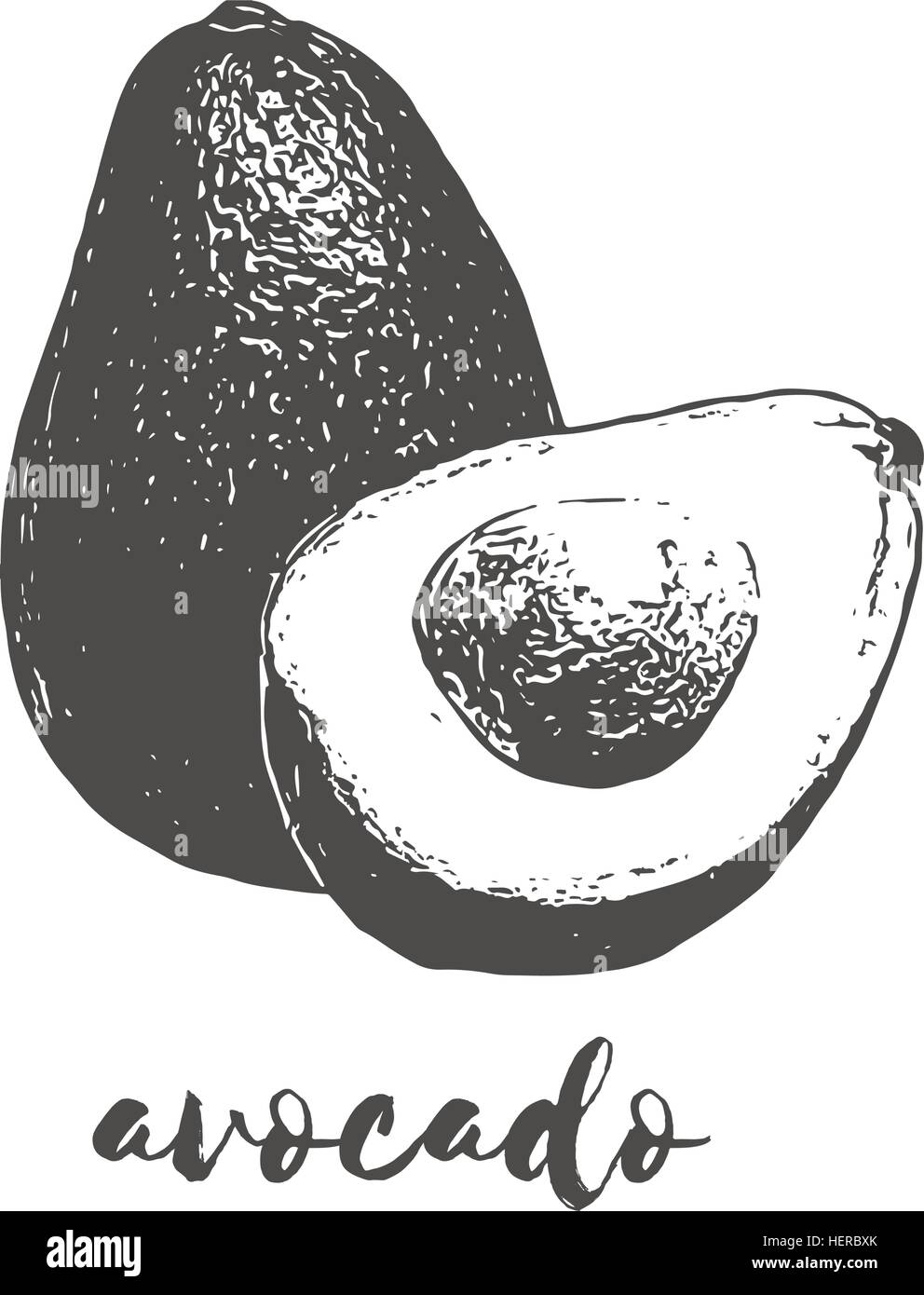 Brown stone white green Stock Vector Images - Alamy