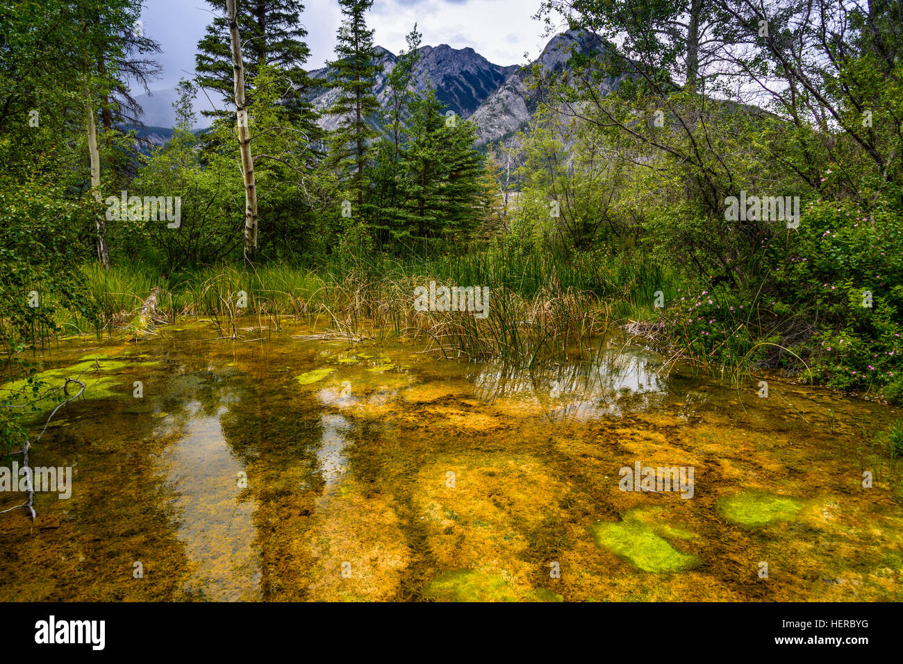 Cave And Basin National Historic Site Stock Photos & Cave And Basin ...