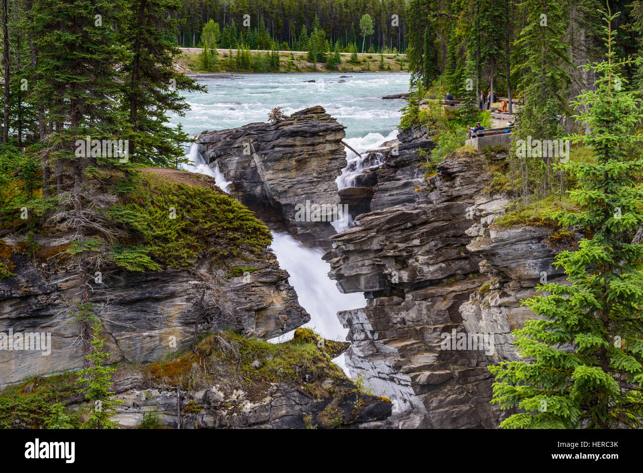 Canada, Alberta, Jasper National Park, Jasper, Icefields Parkway ...