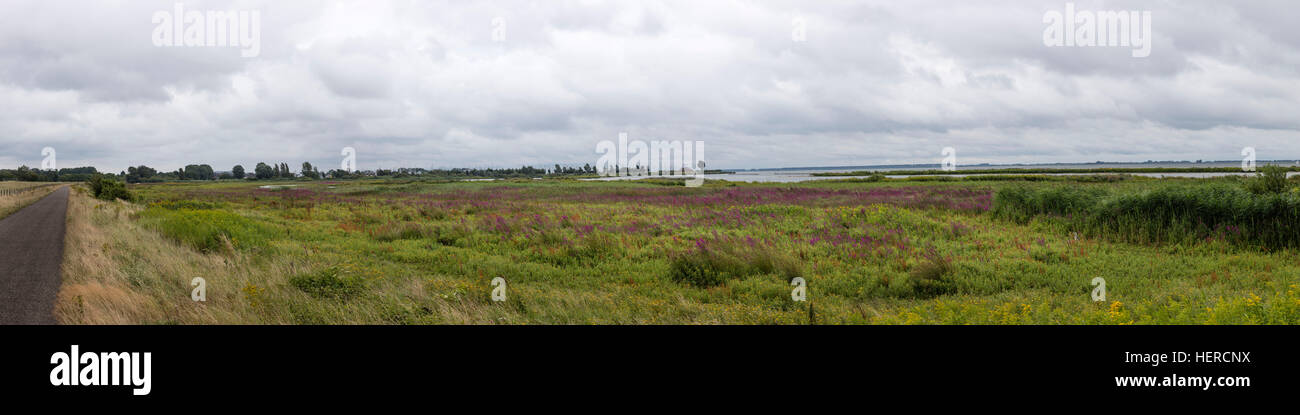 Dikes in hellevoetsluis hi-res stock photography and images - Alamy
