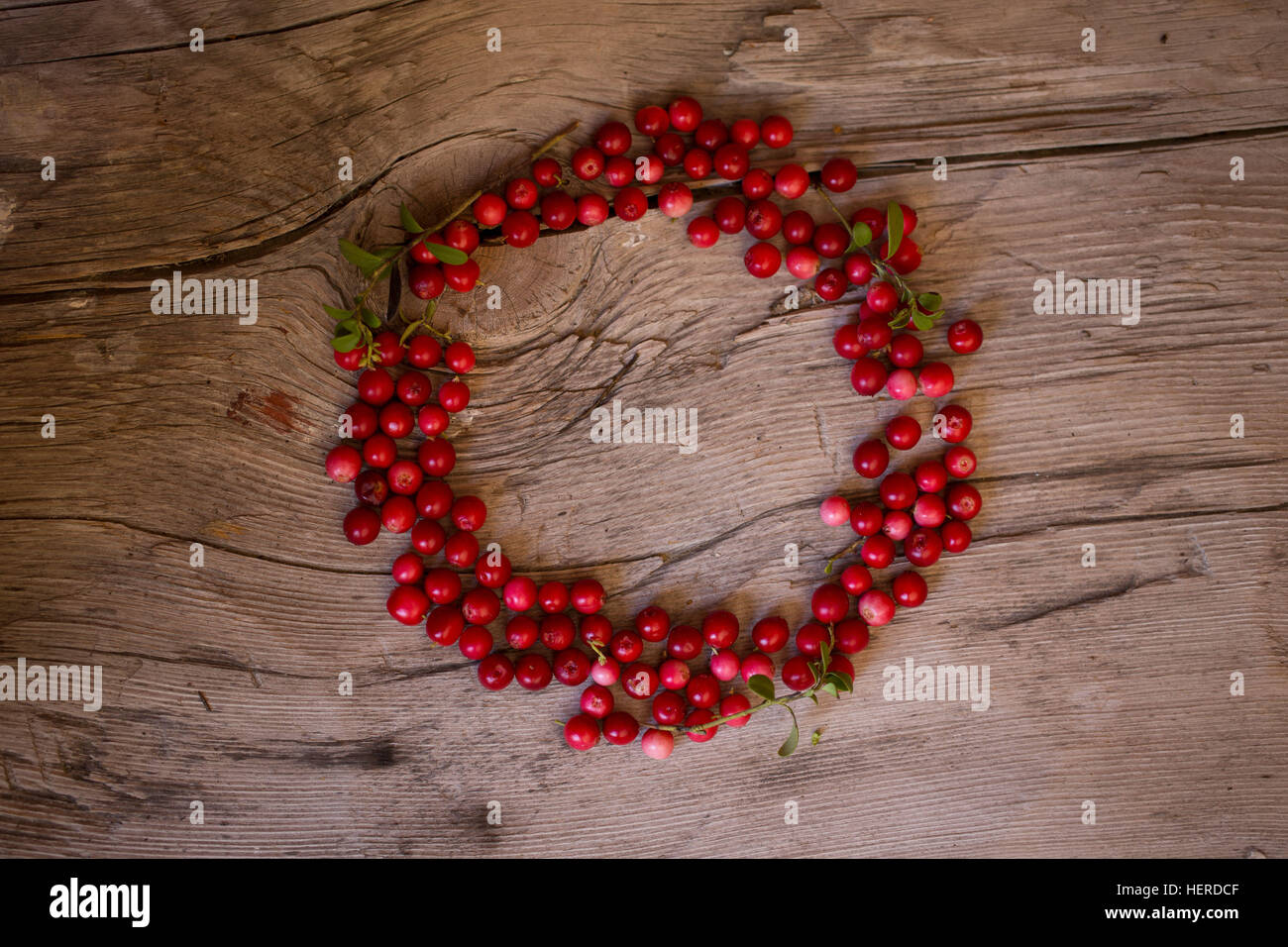 4-season,4-season autumn,autumn,background,berries,berry,circle,closeup ...