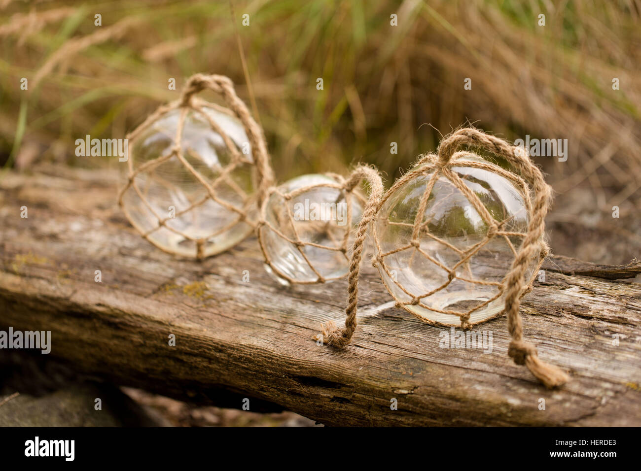 3d,background,ball,bubble,circle,clean,clear,color,decoration,design ...