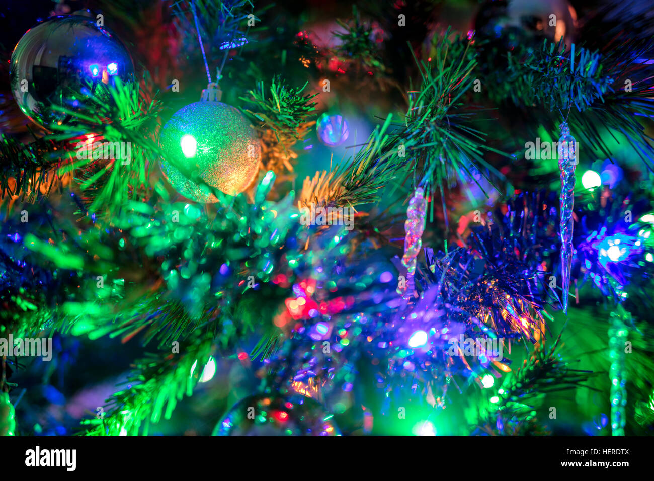 Tree close ups hi-res stock photography and images - Alamy