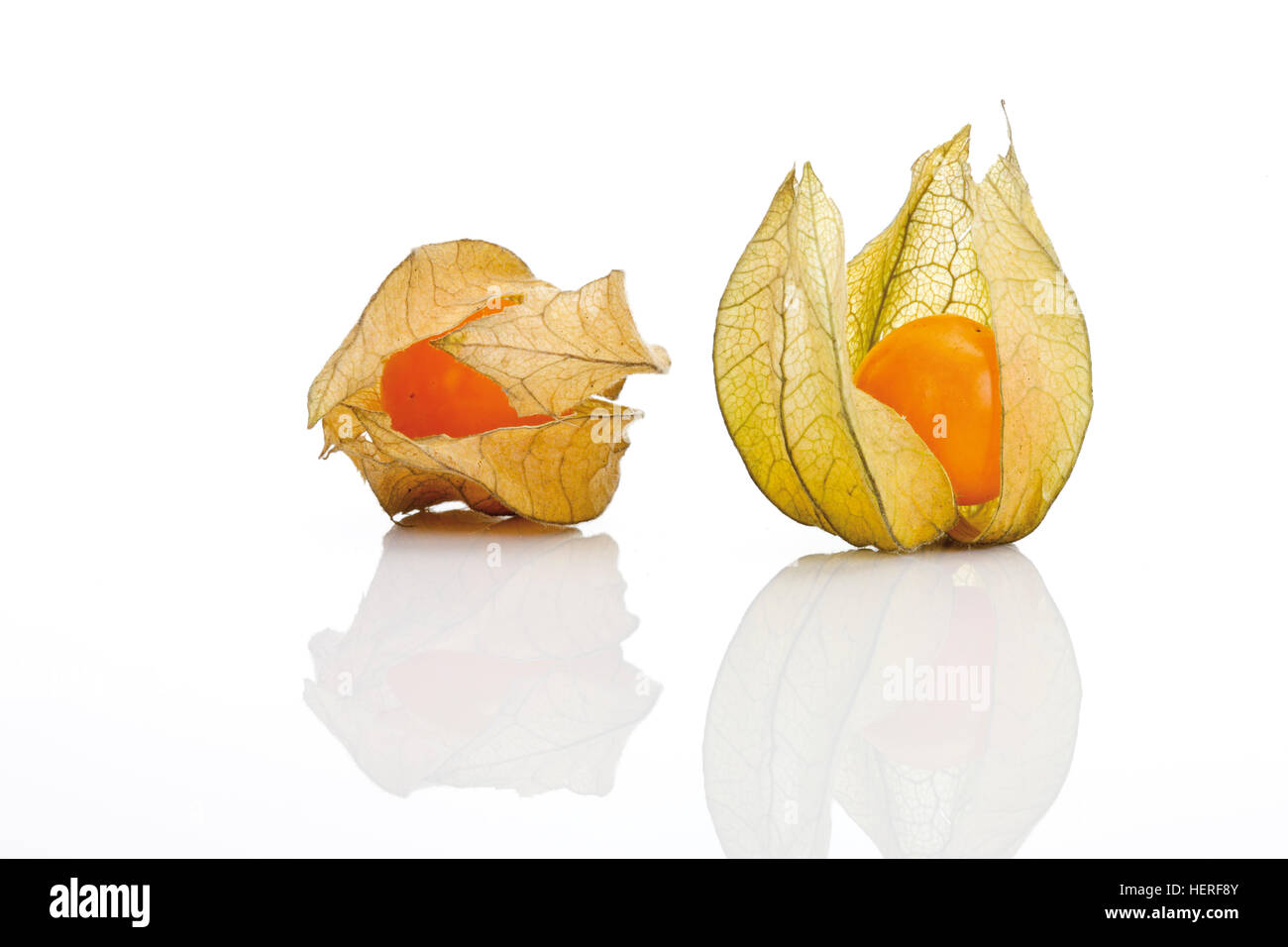 Groundcherries, Ground Cherries (Physalis Stock Photo - Alamy