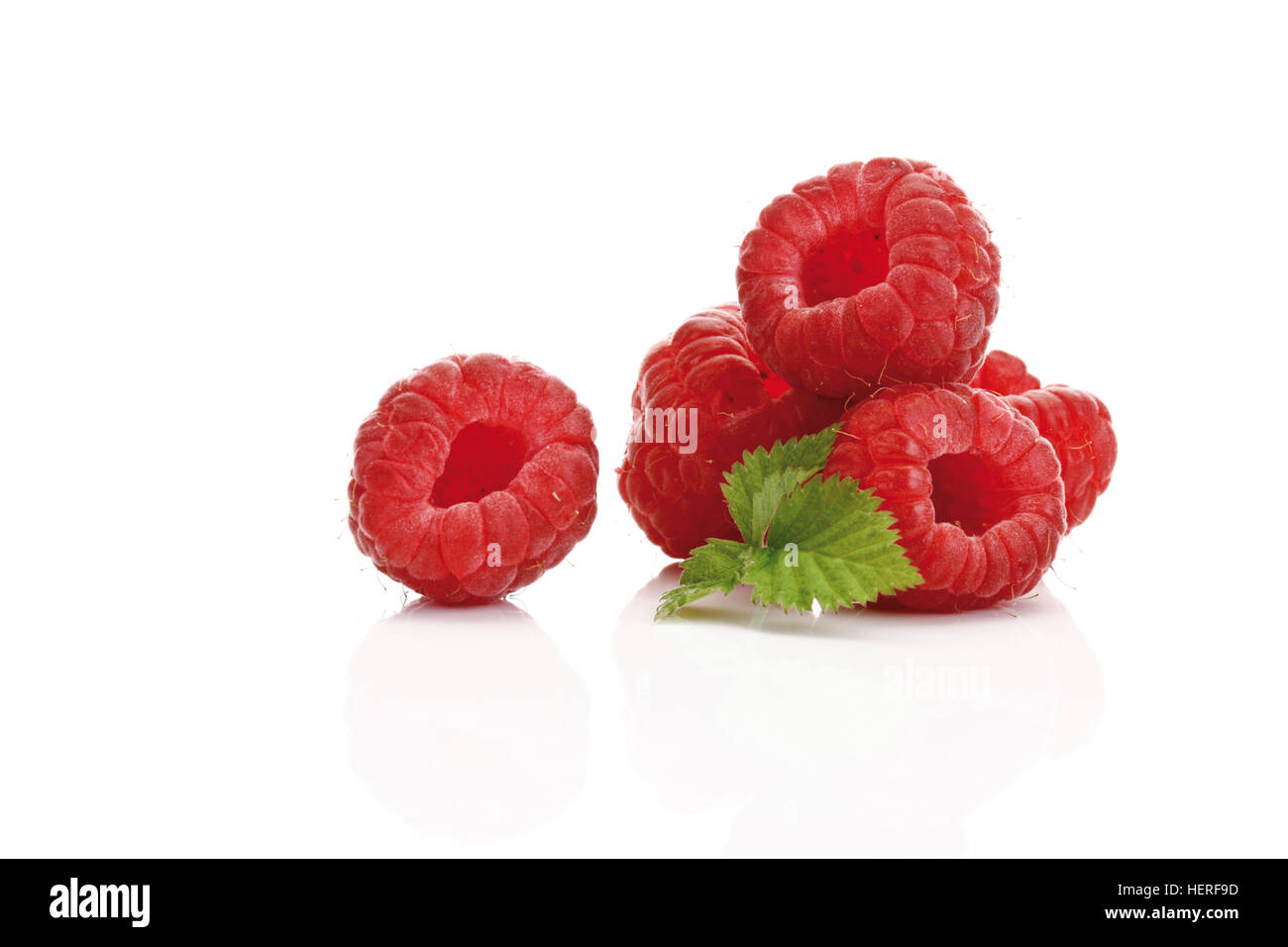 European Red Raspberries (Rubus idaeus Stock Photo - Alamy
