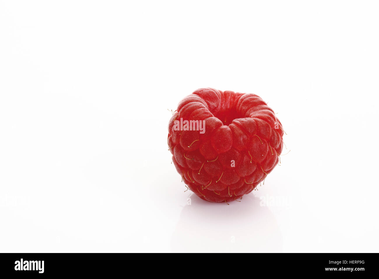 European Red Raspberry (Rubus idaeus Stock Photo - Alamy