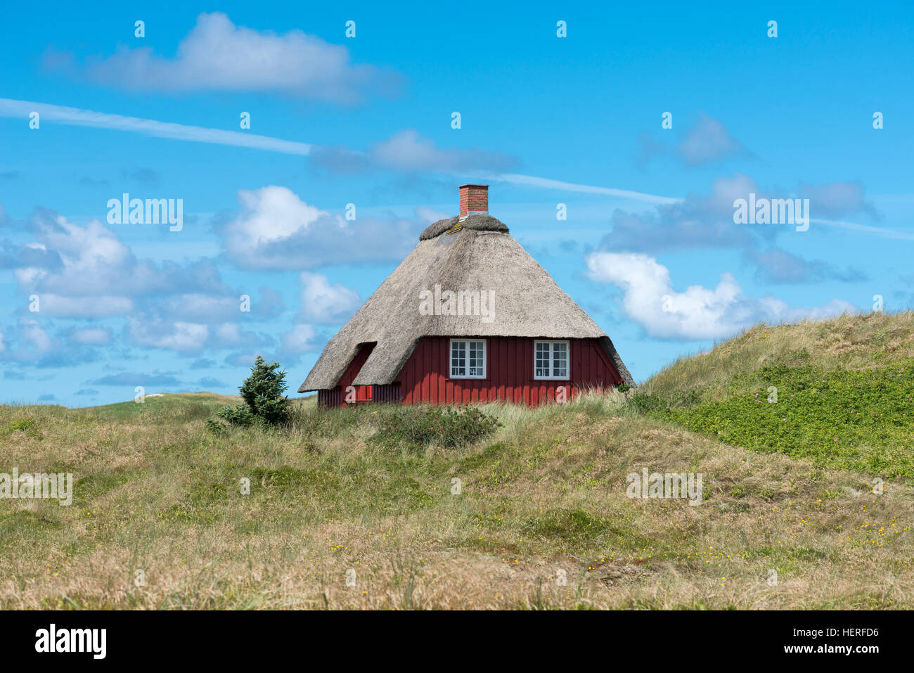 Red wooden house with thatched roof, Baltic Coast dunes, Nørre Nebel ...