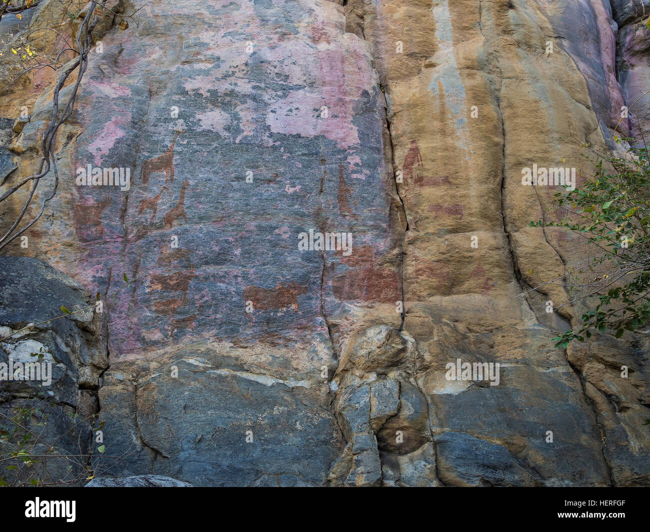 Rock paintings, Tsodilo Hills, Kalahari Desert, Botswana Stock Photo ...