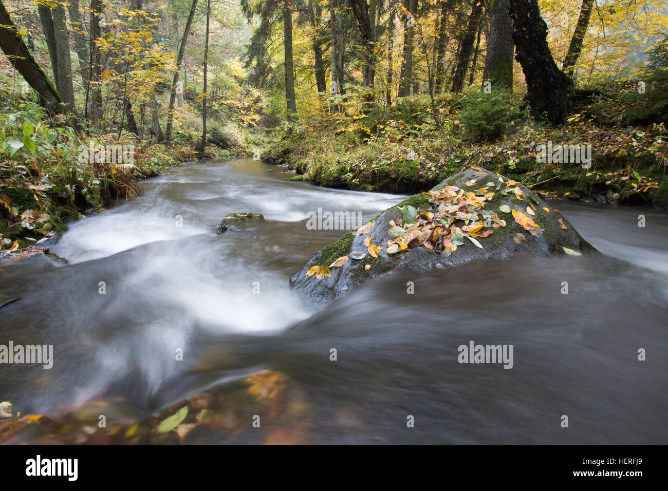 River selke hi-res stock photography and images - Alamy
