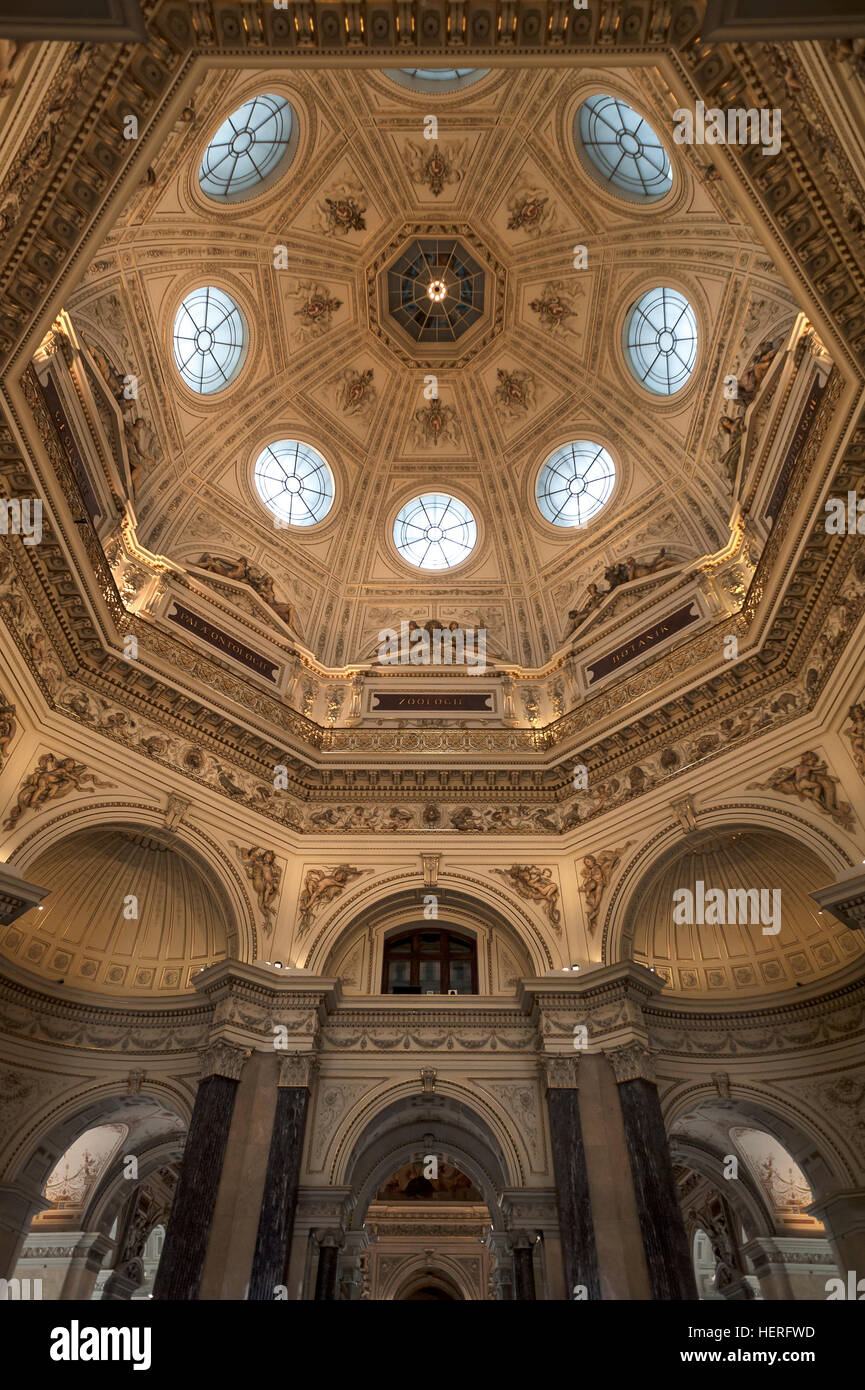 Dome, Museum of Natural History, opened in 1889, Vienna, Austria Stock ...