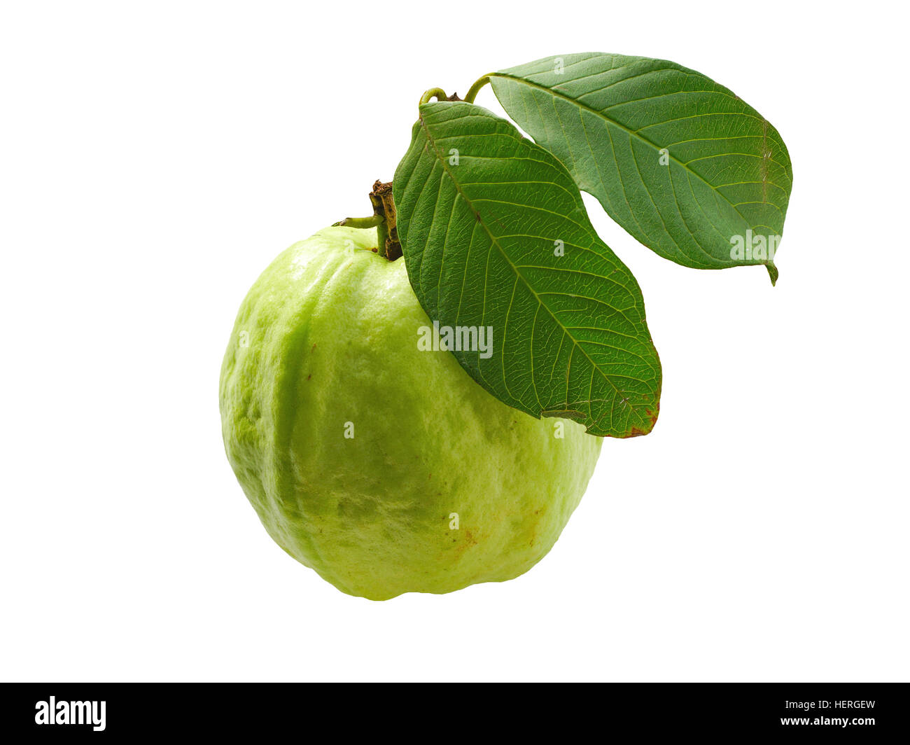 Guava fruit hi-res stock photography and images - Alamy