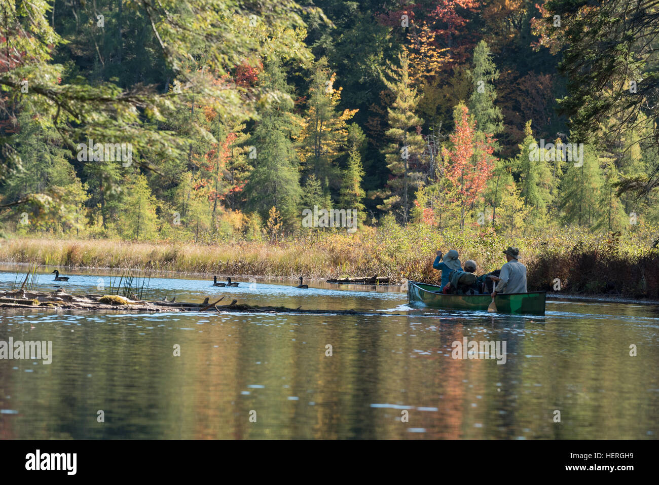 Adirondack park hi-res stock photography and images - Alamy