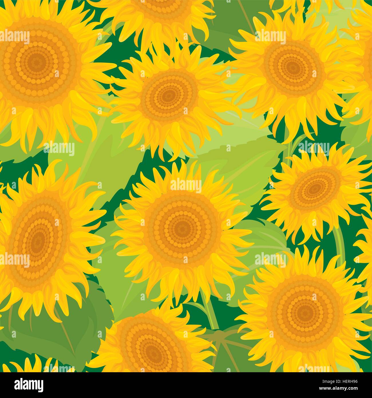 Seamless pattern with sunflowers. Summer season, nature background ...