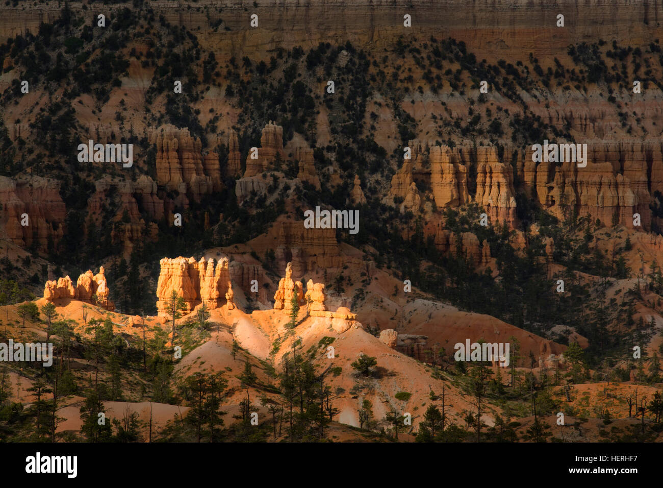 United States of America, USA, Utah, UT, Scipio, Bryce Canyon National ...