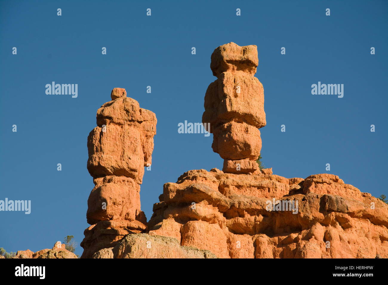 United States of America, USA, Utah, UT, Dixie National Forest, Red ...