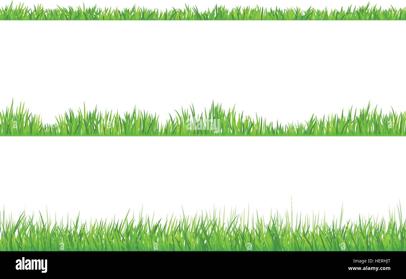 Green Grass Flat Horizontal Banners Set. Best looking lawn 3 ideal ...