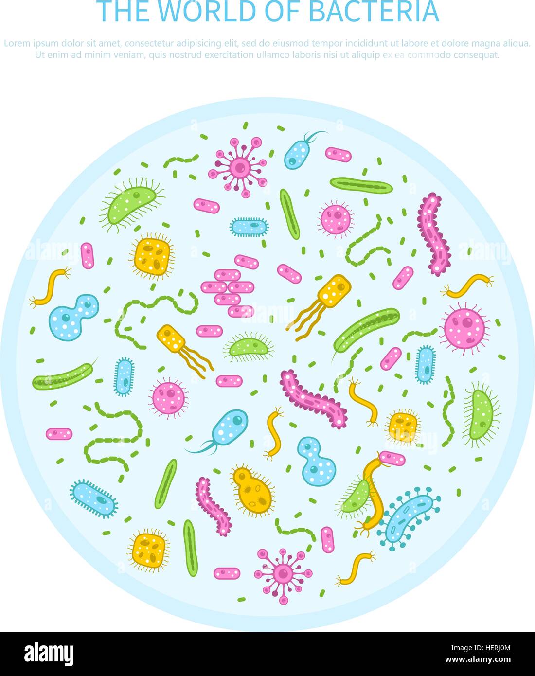 Bacteria concept illustration. Different colored bacteria in petri ...